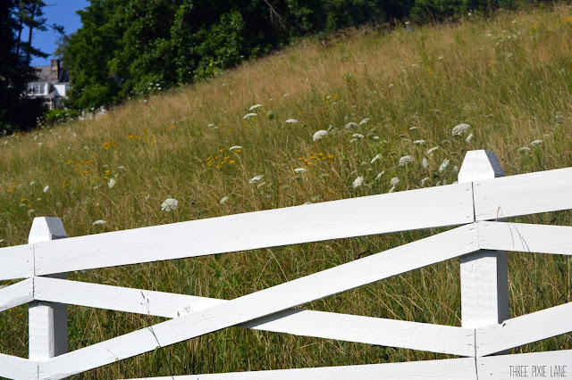 Three Pixie Lane: Blackberry Farm (Top Ten Things to Do)