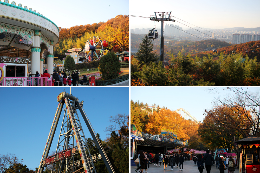 [One Day Korea Tour] Amusement Park: Roller coasters, date, festival, etc