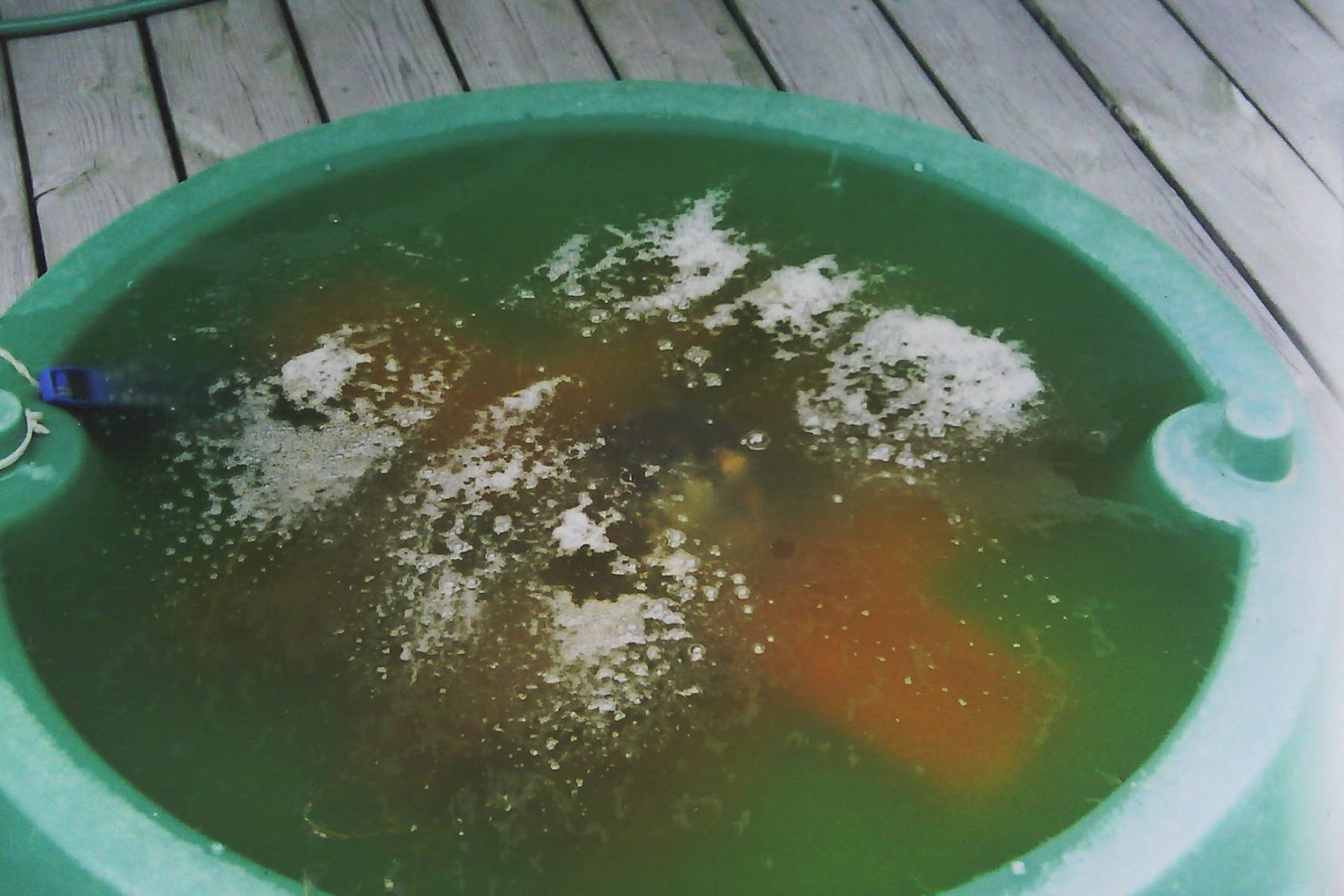 MOSTLY ABOUT FLAX: Growing and Processing Flax (with photos)