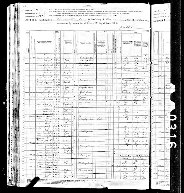 Genea-Musings: Treasure Chest Thursday - 1880 U.S. Census Record for D ...