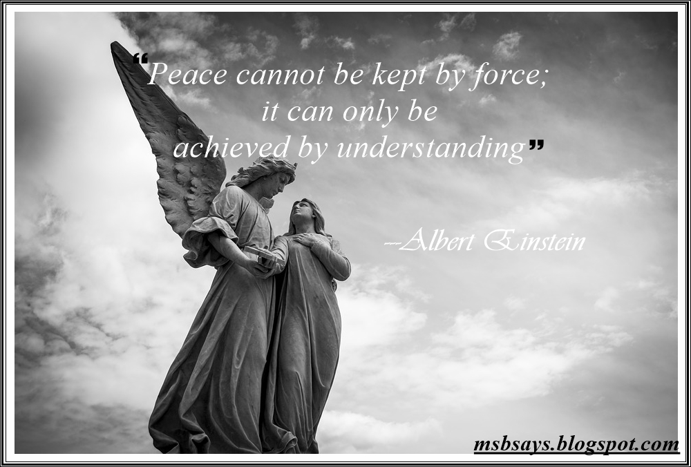Peace cannot be kept by force; it can only be achieved by understanding ...