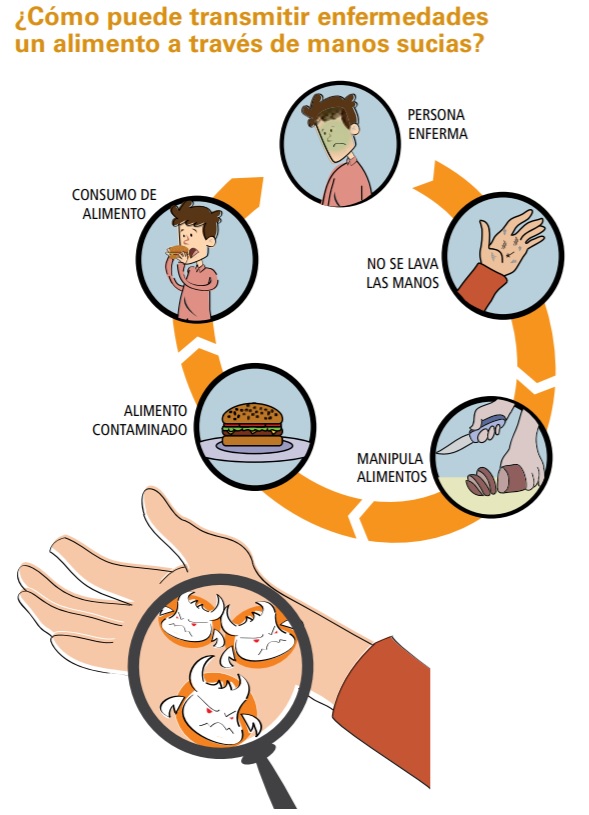 SALUD Y NUTRICIÓN: HIGIENE ALIMENTARIA. GUÍAS PRÁCTICAS