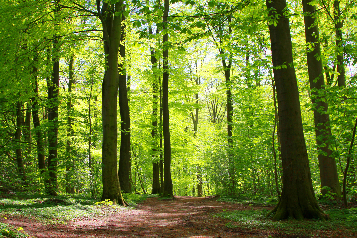 In Relentless Pursuit: And I'm Still Learning...