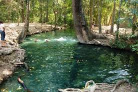 Los Biomas de México