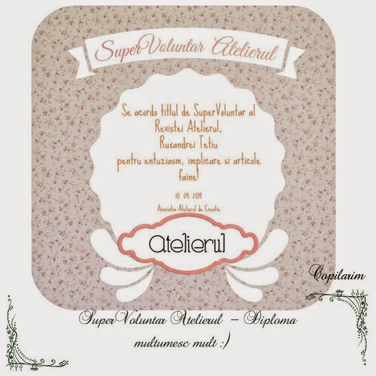 Copilarim: Diploma de SuperVoluntar si "Profilul" din 2013