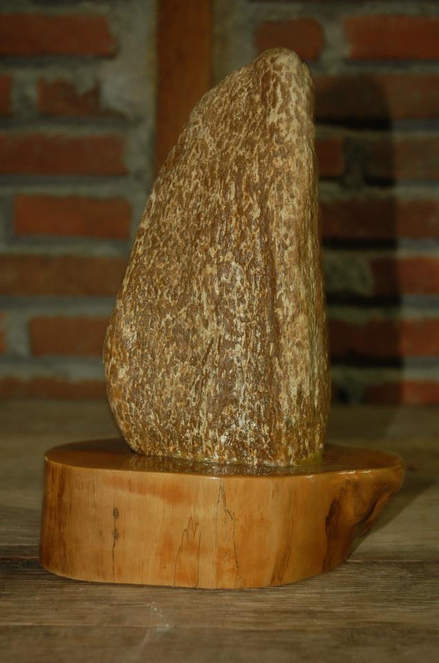 Museum Fosil Kayu Indonesia: FOSIL KAYU "UKURAN KECIL"
