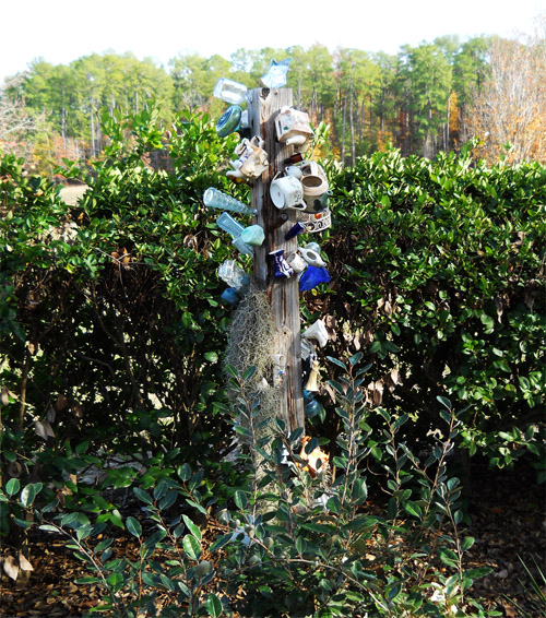 Cochino Lodge Weddings: Cotton and Malone Wedding at Cochino Lodge