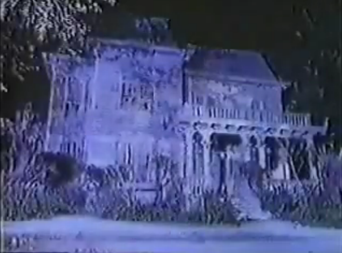 Papa Doc Iron's Swamp of Horrors: Mr. Boogedy and Bride of Boogedy