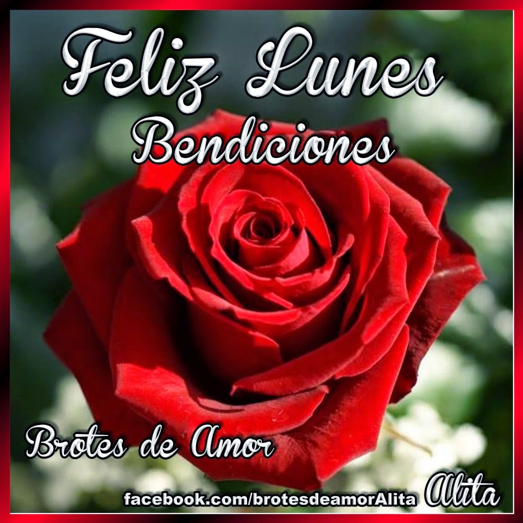 Feliz día lunes - IMÁGENES CON FRASES © LINDAS