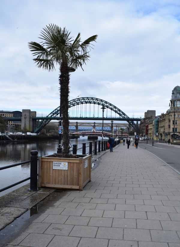 Photographs Of Newcastle: Quayside Seaside