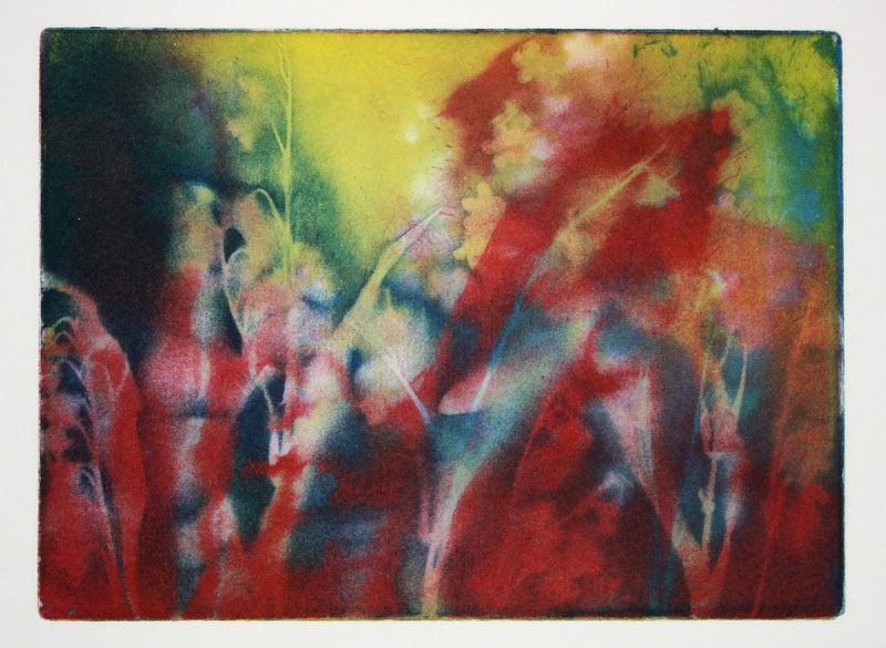 Sarah Higley: printfool.printsister.printmaker