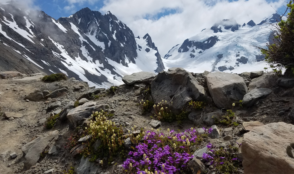 Another day: 2020.7.3-6. Blue Glacier and Snow Dome