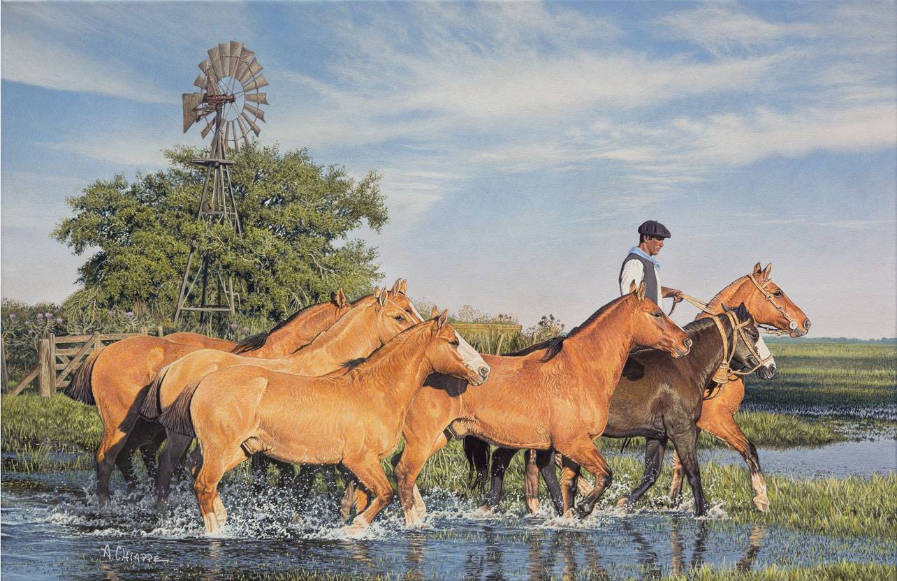 Guia da Bombacha: Aldo Chiappe