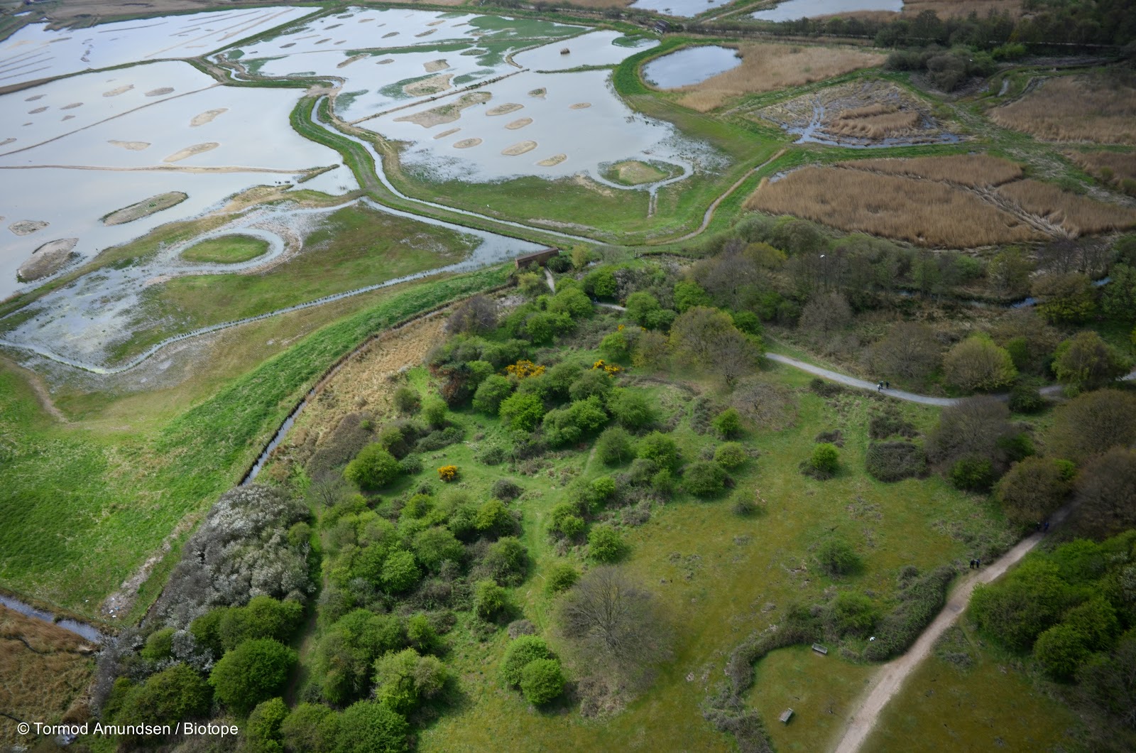 biotope: Intelligent design - the RSPB Minsmere nature reserve