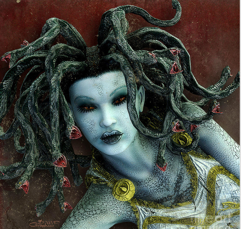 Erika Donaldson's Instagram, Twitter & Facebook on IDCrawl