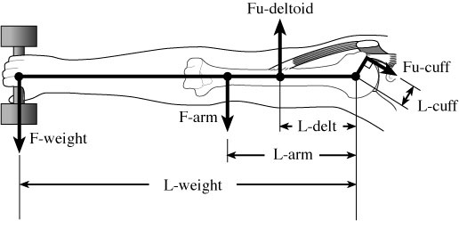 UW Shoulder and Elbow Academy: Rotator Cuff 1 - Overview