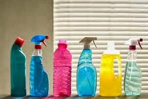 Science Fair Project Models | Kids Science Experiments