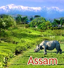 MY BLOGS: NATURAL BEAUTY OF ASSAM