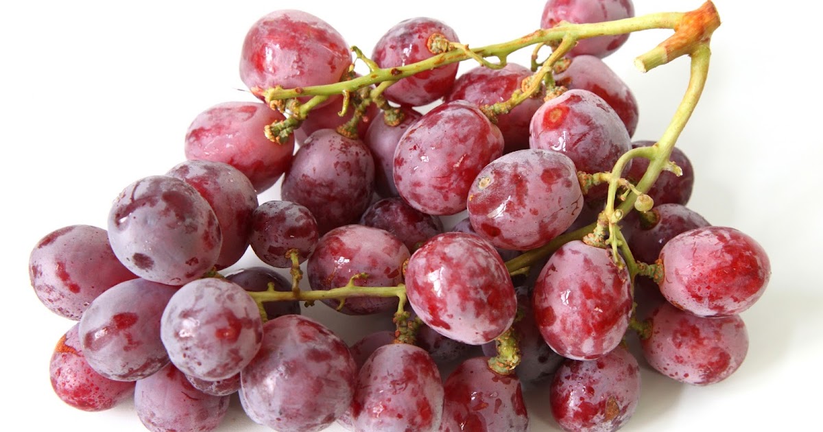 Koleksi Populer 13+ Gambar Daun Anggur Jupiter