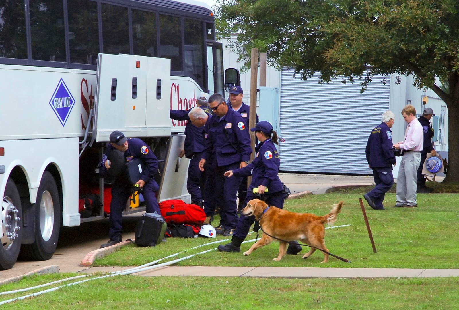 Texas A&M University Press: Texas Task Force 1