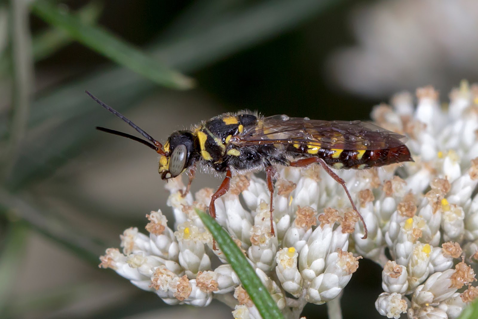 Andrew Allen Photography