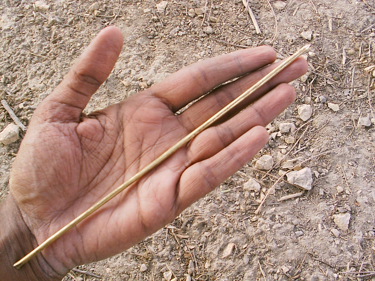 Dawat e Rohaniat ~*~ دعوتِ روحانیت: Sacred Trees Rituals & Amliyat