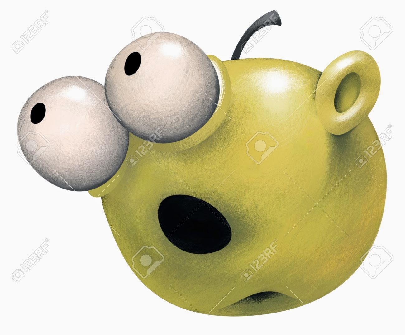 French Vocabulary Illustrated: gobe-mouche