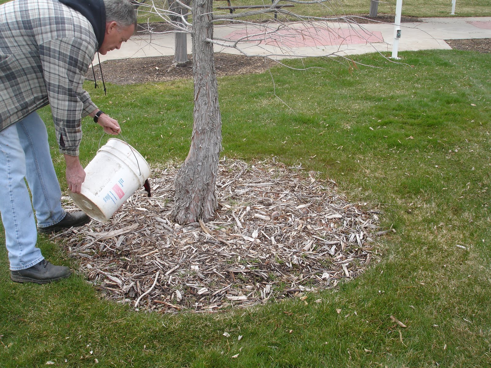 Ogden Botanical Gardens: Prevent This From Happening in Your Yard