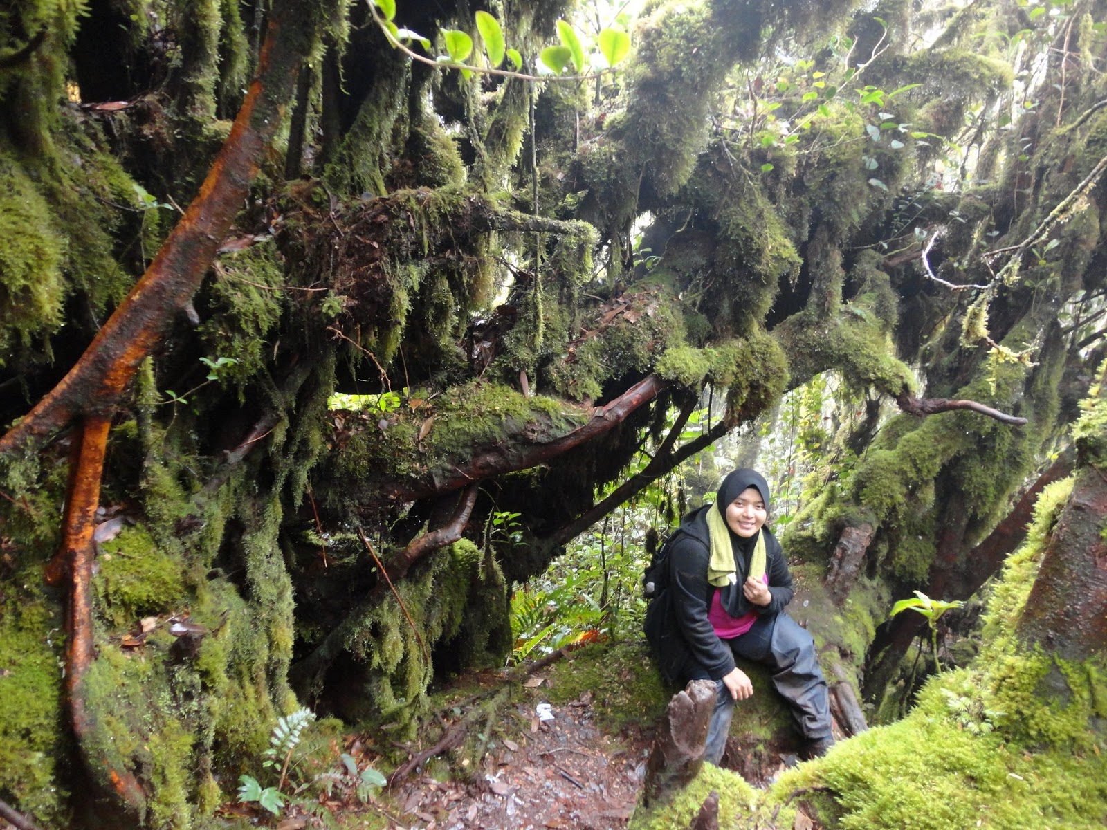 KEMBARA ALAM AADK: Pendakian Gunung Irau, Cameron Highlands, Pahang