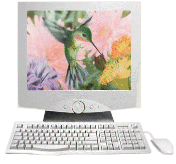 Informática - Cia dos Gifs