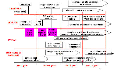 APPLIED LINGUISTICS: FIRST LANGUAGE ACQUISITION (Yule)