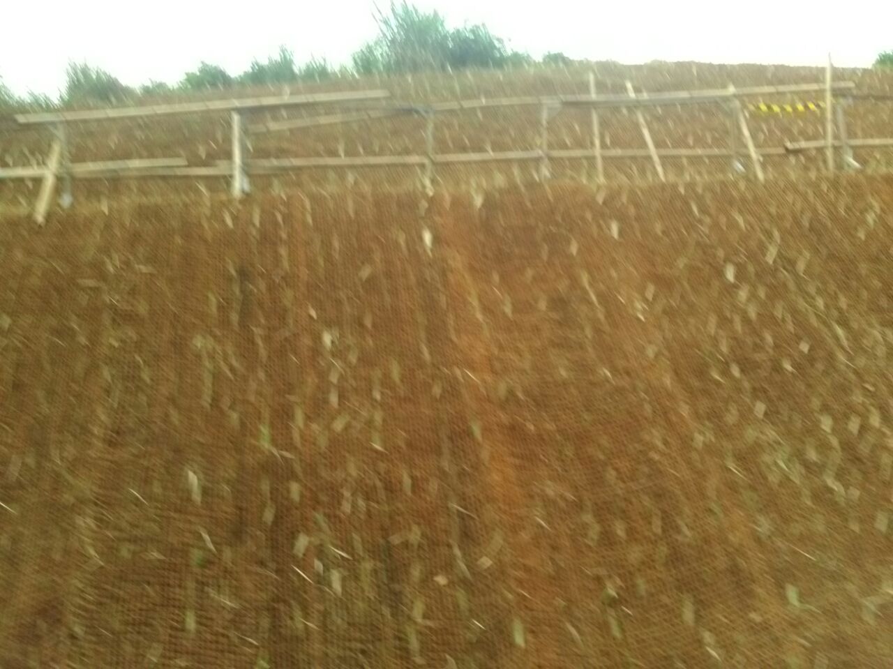 0857 2629 3745, Jual Coir Mesh Netting: Pusat Produksi Cocomesh Sumba ...