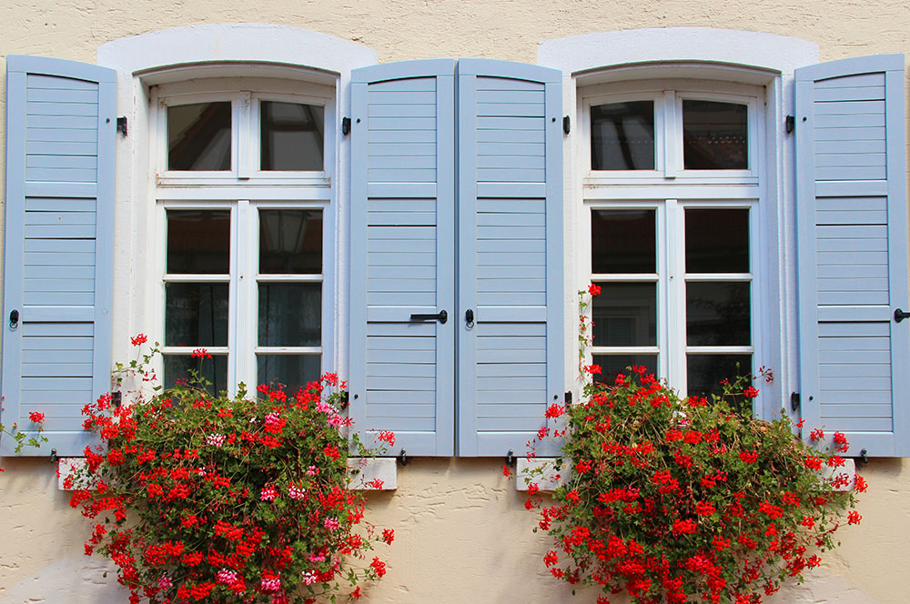 Windows Stories - Photography Series - Germany, France | Starfish
