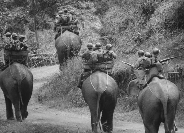 The '60s at 50: Undated: Elephant patrol in Vietnam