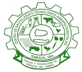 XXV ANIVERSARIO DEL C.B.T.a. No. 202