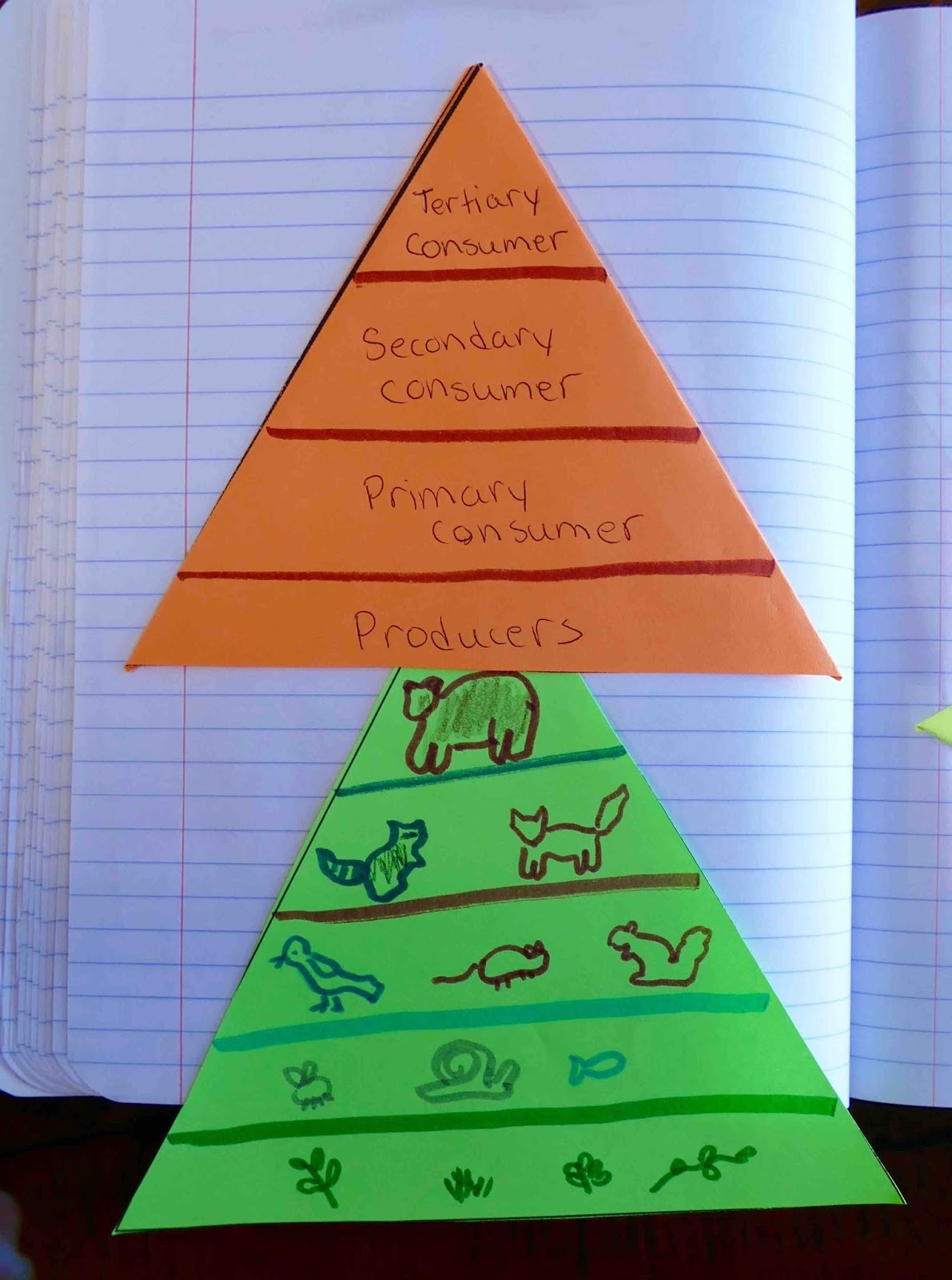 Pull Out and Sliding Inserts for Interactive Notebooks - Teaching ...