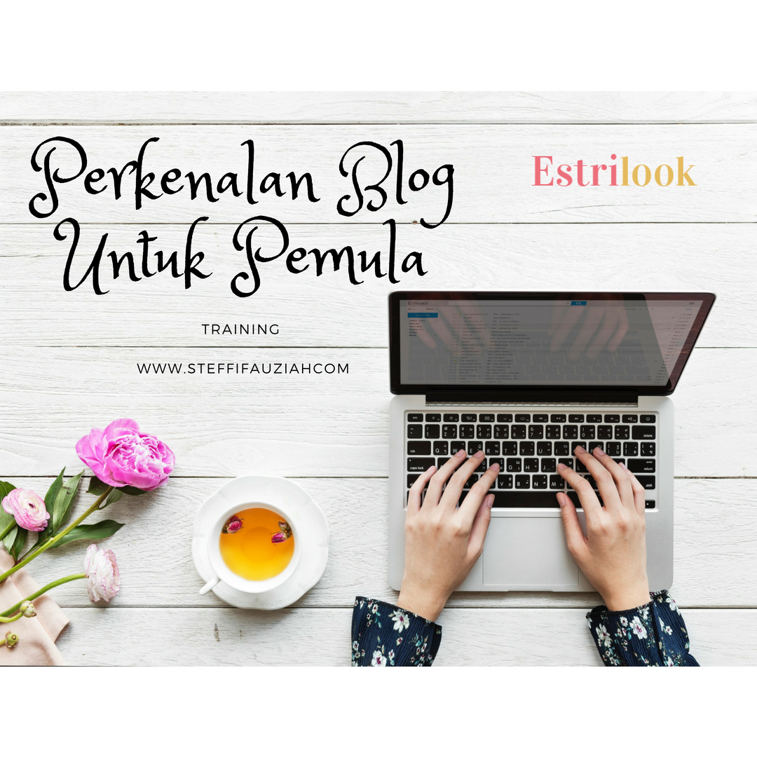 Perkenalan Tentang Blog Untuk Pemula — steffifauziah's blog