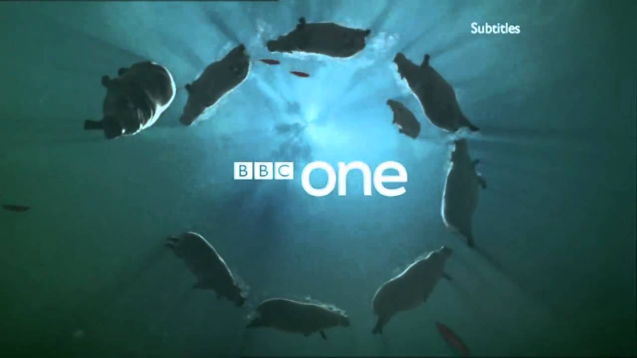 Becky Hilton: Design and Purpose of TV indents report