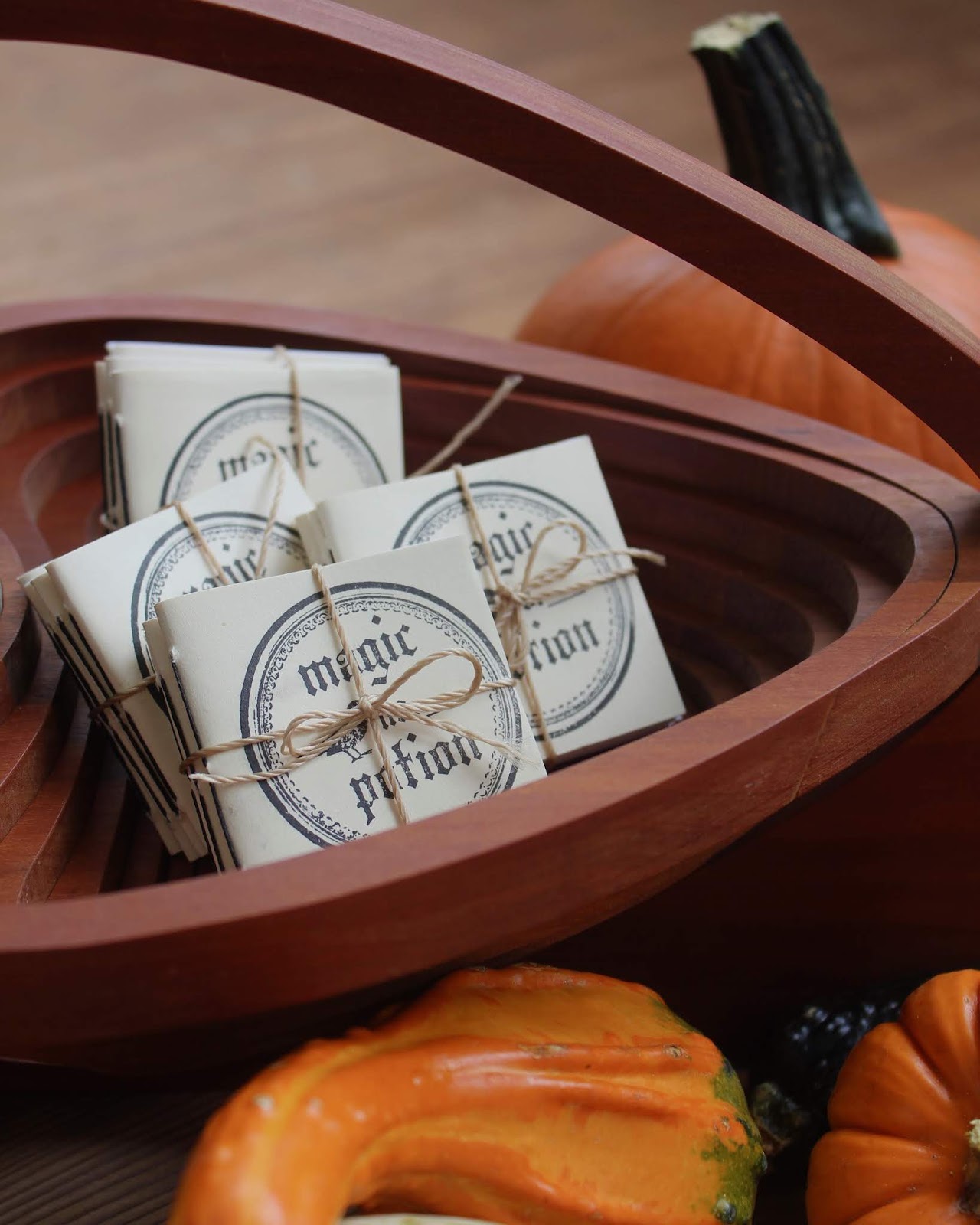 Magic Potion Notebook Bundles!