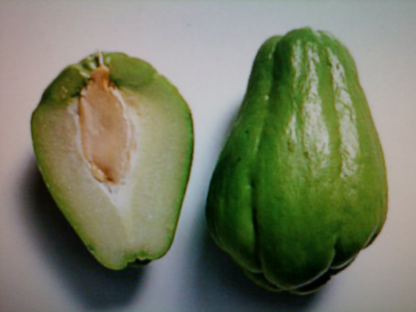 Inspirasi Terpopuler Sketsa Gambar Labu Siam