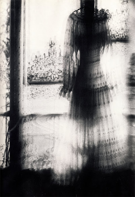 Anthony Luke's not-just-another-photoblog Blog: Photographer Profile ...