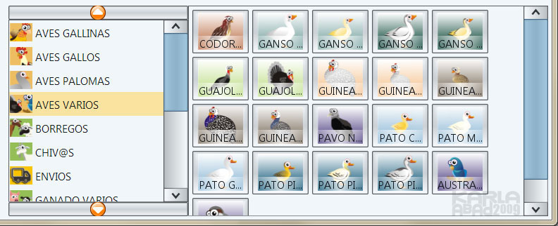 Botones para una terminal punto de venta