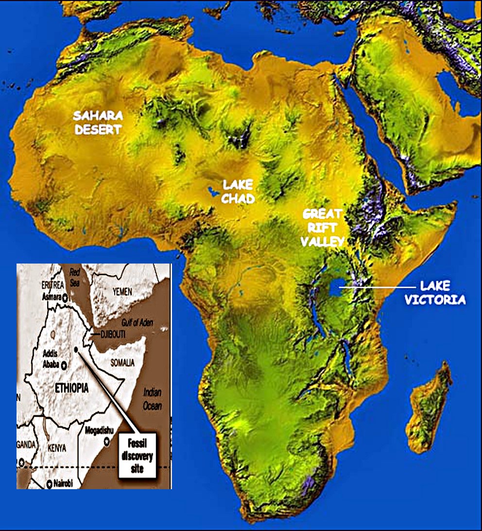 Peter Klevius agrees: The out of Africa myth materially rests on ...