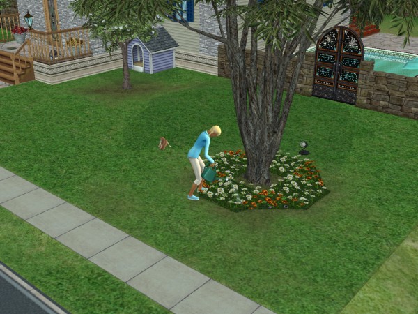 New Maximiliania: My Sims2-Neighbourhood: The Roth Family: Week 5