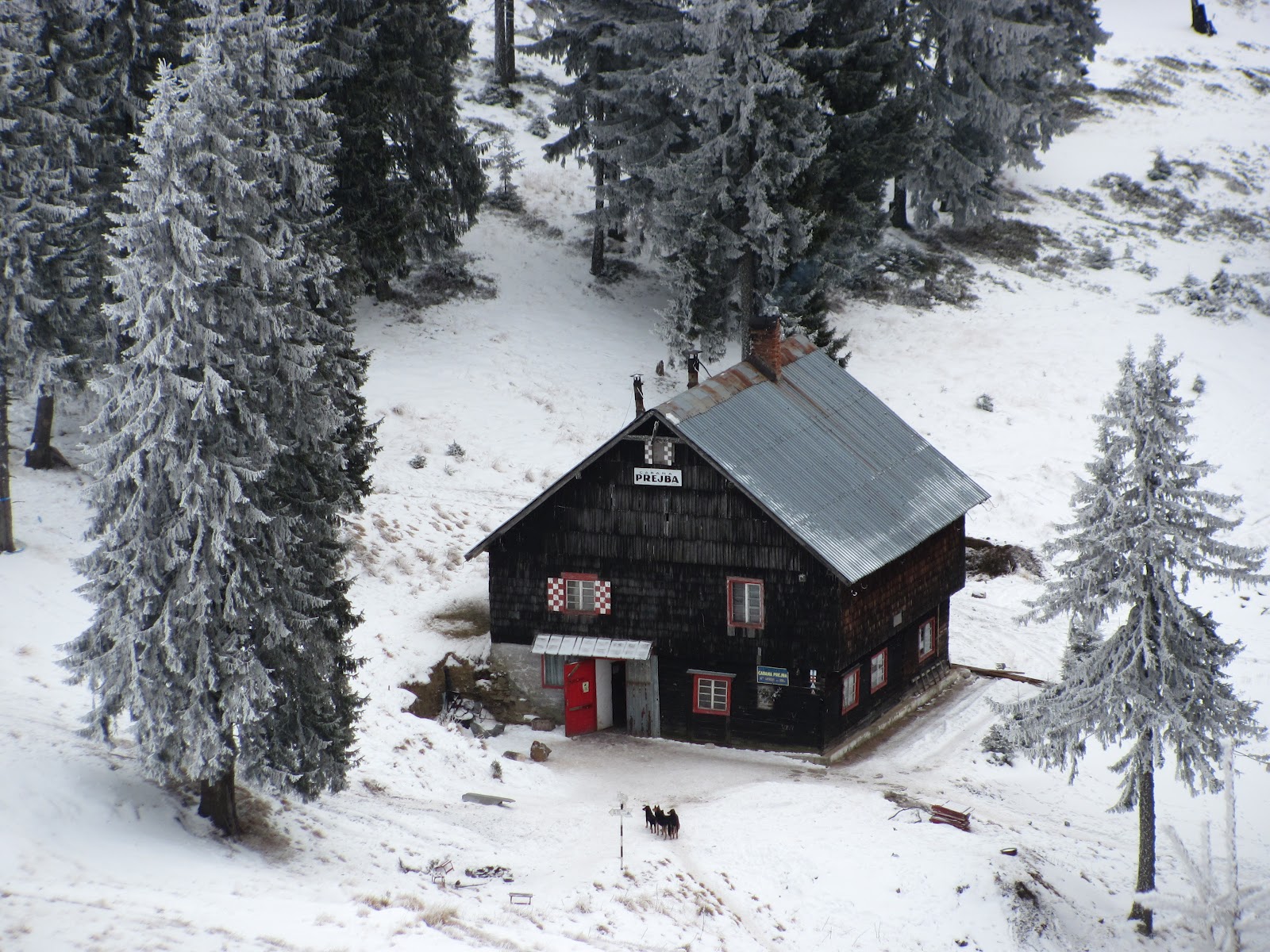 Maci in par: Revelion 2012 cu bucurii simple, la Cabana Prejba