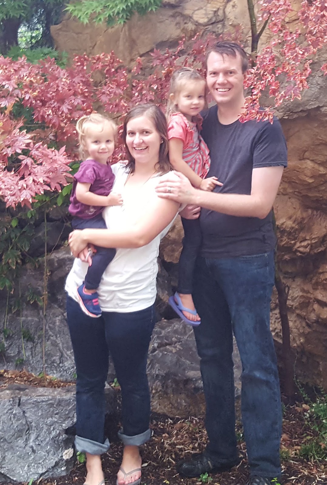 Mormon Mommy Surrogate: August 2018