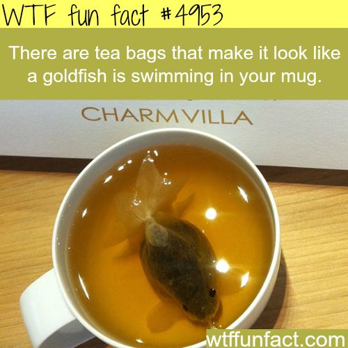 60 Amazing Weird And Interesting Random Facts | Amazing WTF Facts 60 Amazing Weird And Interesting Random Facts | Amazing WTF Facts