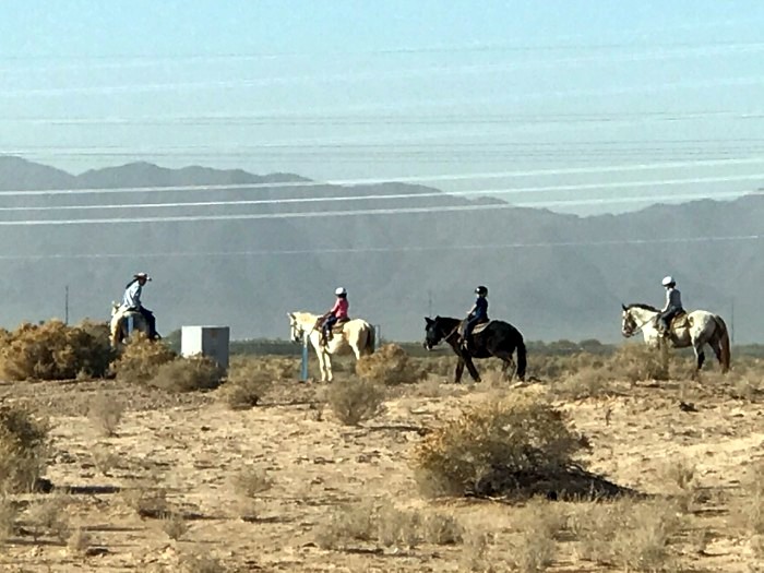Durango Texas: Arizona Desert Horse Ride With David, Theo, Ruby & Texas ...