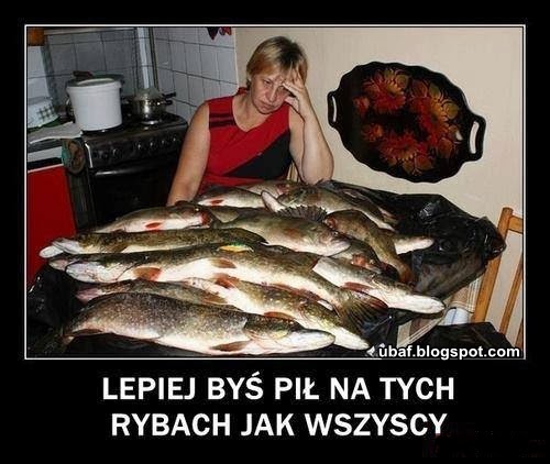 świąteczny karp ~ Śmieszne Obrazki i Gify