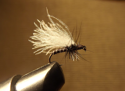 TroutFodder: Winter Stonefly Patterns